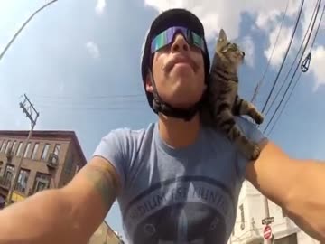 Kot na rowerze - wideo w cda.pl