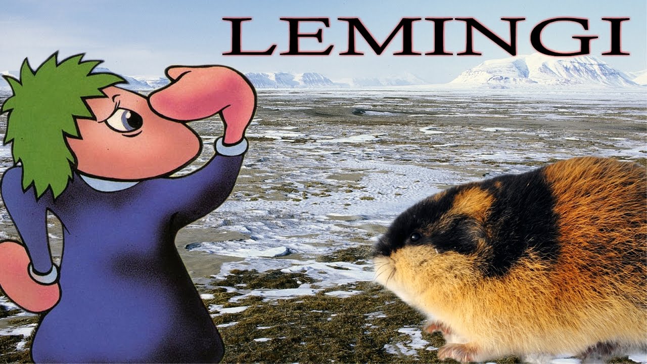 Lemingi i mit zbiorowego samobójstwa - wideo w cda.pl