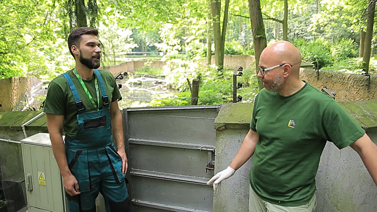 Spółka ZOO S01E09: Tygrysy - CDA