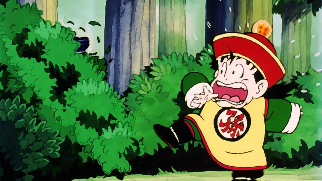 Dragon Ball: Z - bermin - cda.pl