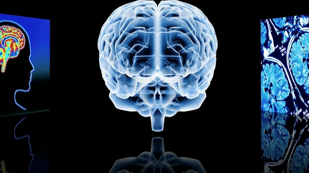 How Human Brain Transplants Would Change the World | Unveiled - CDA