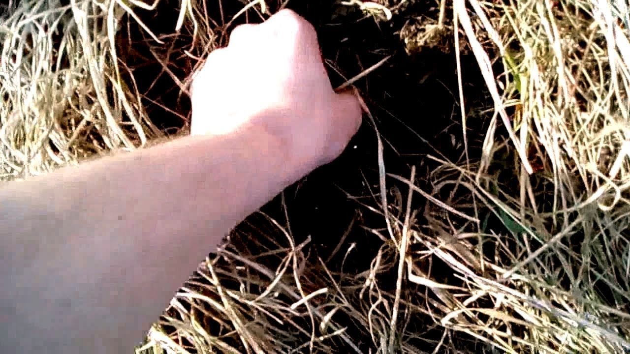 Nowe Anomalie Na Ziemi - Dziwny Szklany Deszcz Nad Polską - Niewyjaśnione Zjawiska PL - CDA