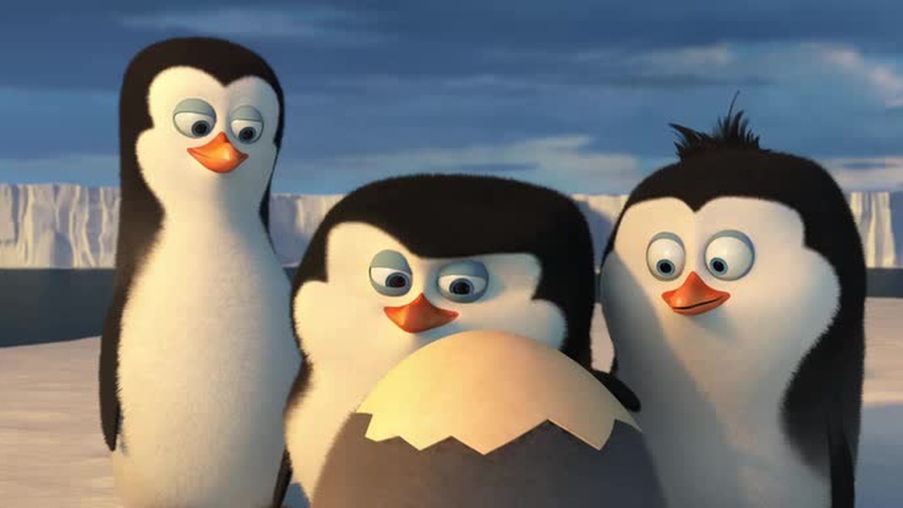 Pingwimy z madagaskary caly film - CDA