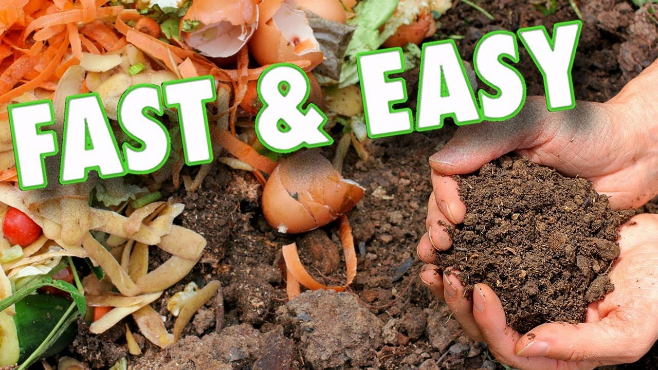Composting 101: Compost anything FAST & EASY - CDA