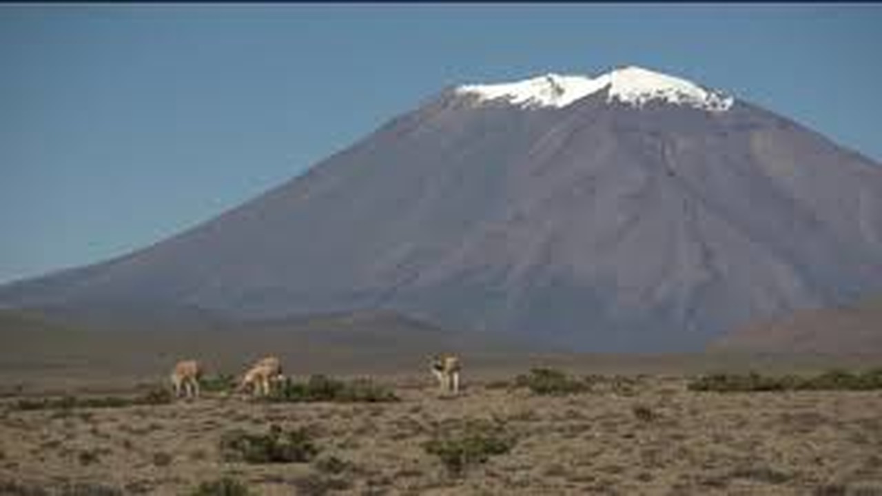 Capacocha inkaski rytuał składania dzieci w ofierze bogom gór - CDA