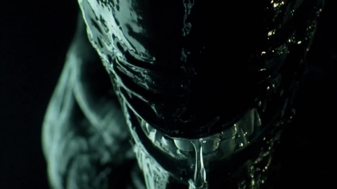 Obcy kontra Predator - bartas_n - cda.pl