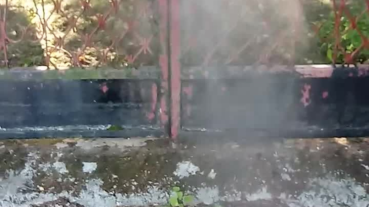 Folder główny - dddrobak - cda.pl